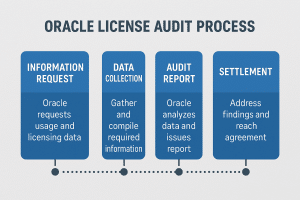 The Oracle License Audit Process Explained